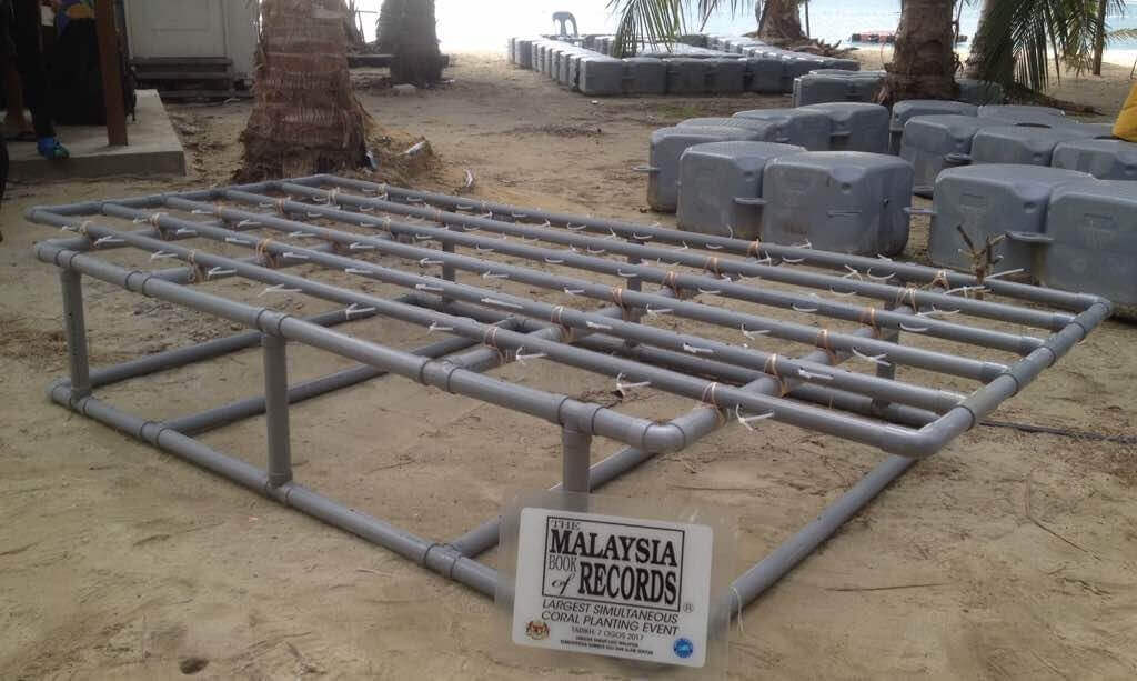 Usaha Pemuliharaan Terumbu Karang Terbesar Masuk MBOR - Malaysiaaktif