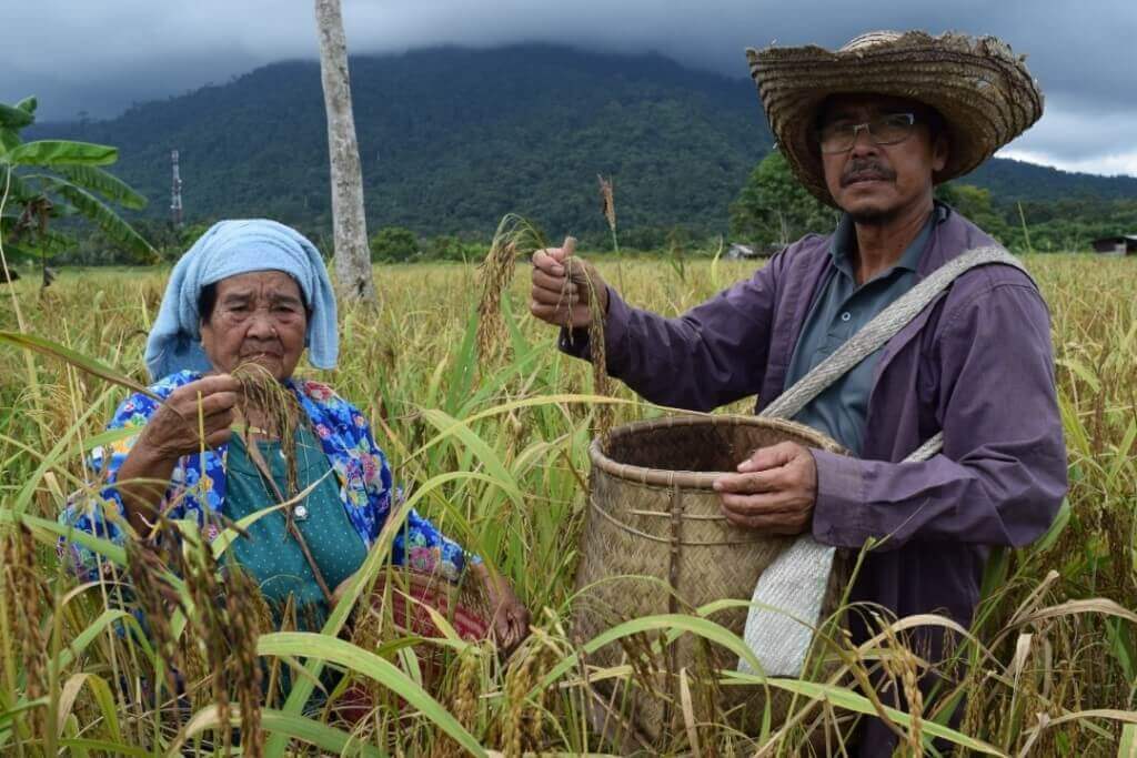 Ritual ‘Ngarantika’ Masyarakat Salako Masih Diamalkan - Malaysiaaktif