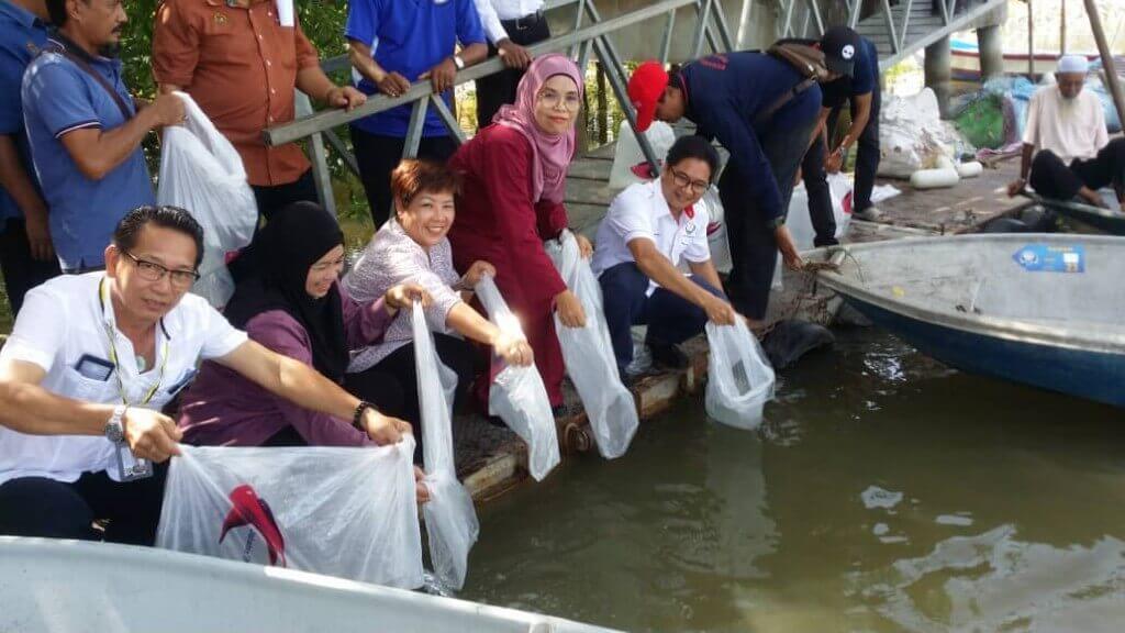 35,000 Benih Udang Galah Dilepaskan - Malaysiaaktif