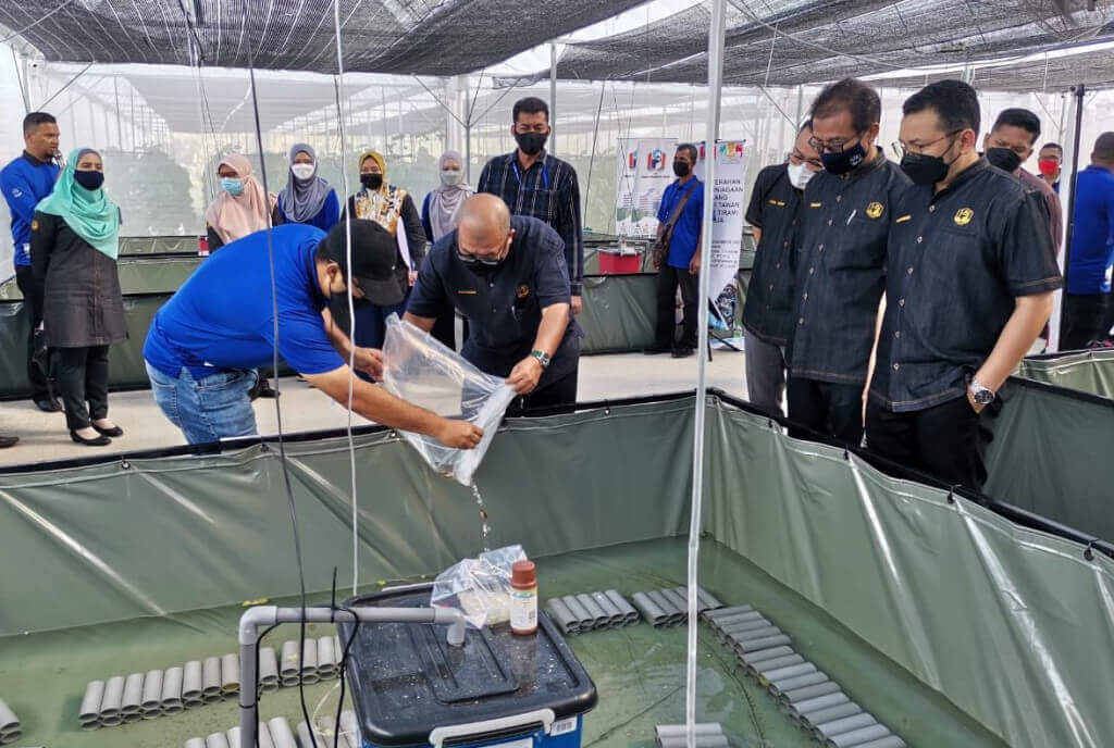 Projek LAT Dan Projek Tanaman Cendawan Tiram Diteruskan Bagi Menjana ...