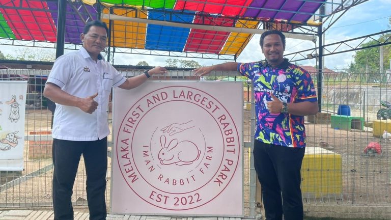 Ladang Arnab Terbesar Tarikan Baru Ke Melaka - Malaysiaaktif