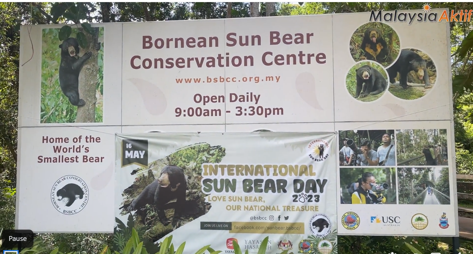 BSBCC Melindungi Beruang Madu Borneo - Malaysiaaktif