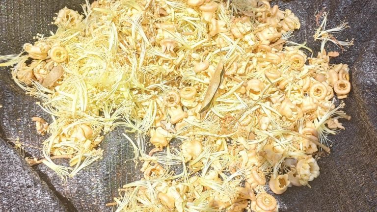 Bunga Durian Makanan Unik Sarawak - Malaysiaaktif