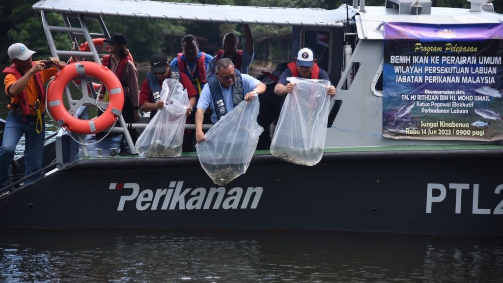 Jabatan Perikanan Lepas 10 Ribu Benih Ikan Bantu Nelayan Tempatan ...