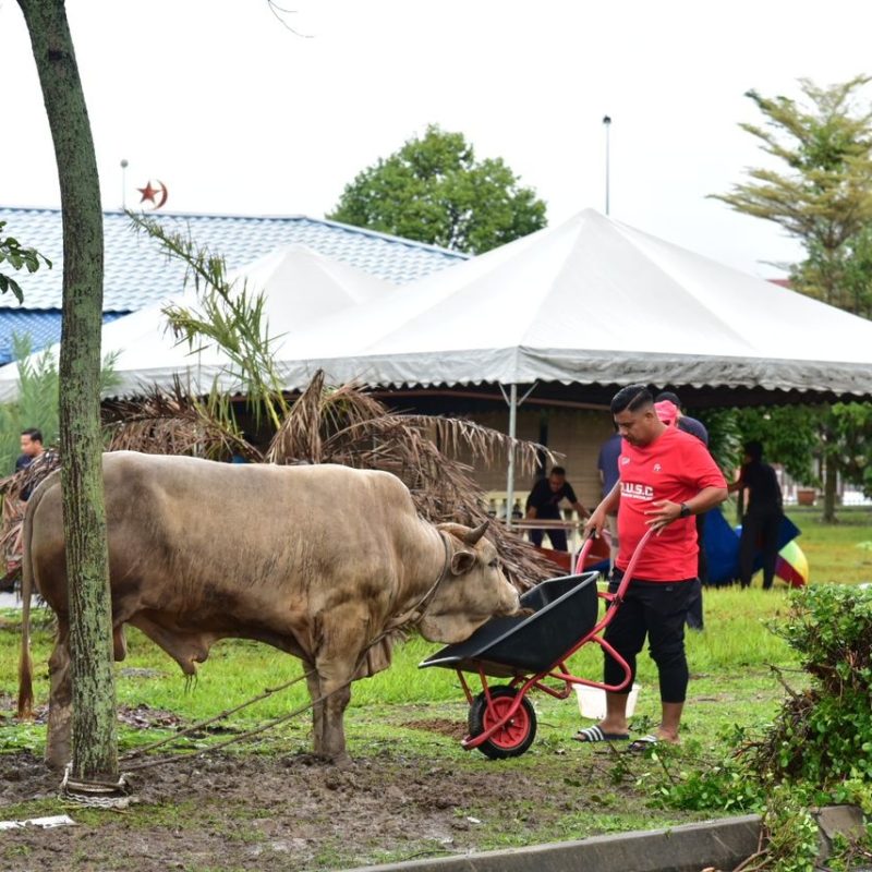 Taman Jubilee Mas, Matang Lokasi Pilihan Tempat Perkelahan di Kuching ...