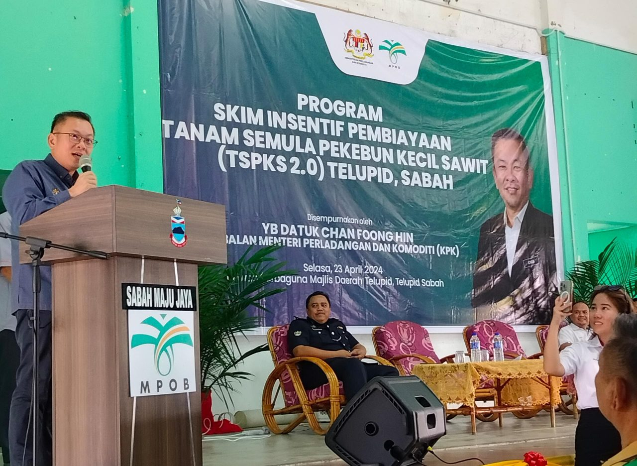 Pekebun Kecil Sawit Daerah Telupid Terima Bantuan - Malaysiaaktif