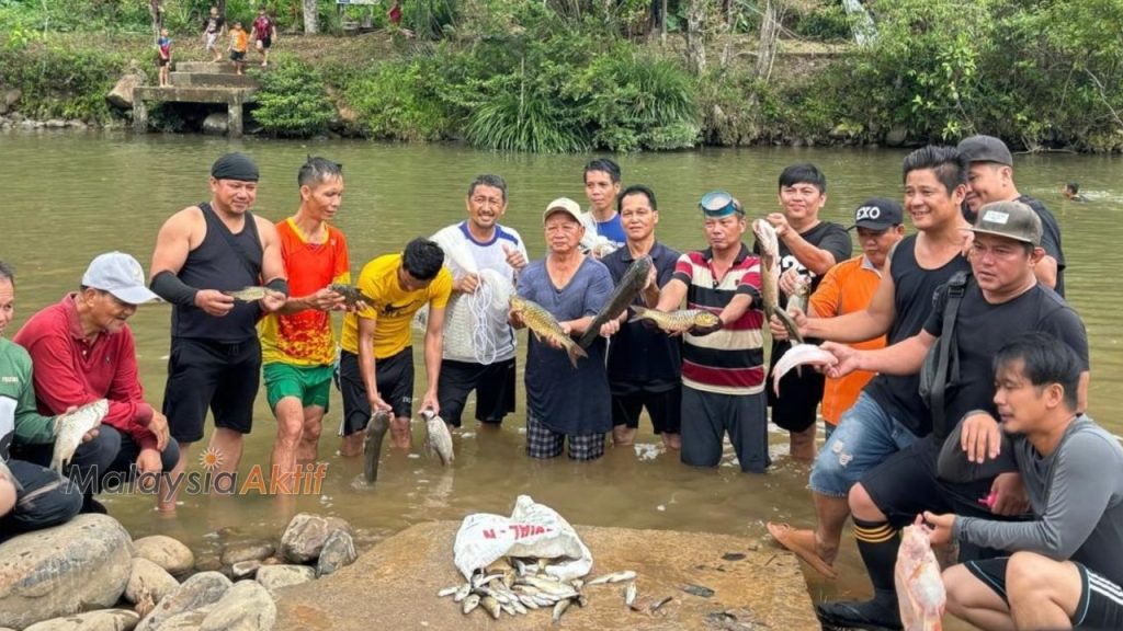 Sistem Tagal, Eratkan Perpaduan Sambil Menuai Ikan - Malaysiaaktif
