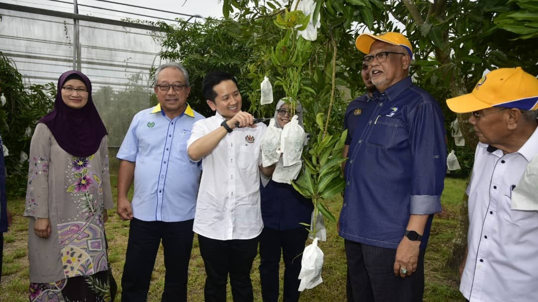KPKM Komited Perkukuh Keterjaminan Makanan Di Negeri Perlis - Malaysiaaktif