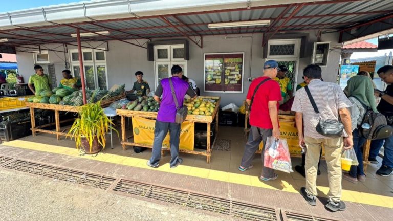 Pesta Mempelam Kedah 2024 Perkenalkan Pusat Teknologi Mempelam ...