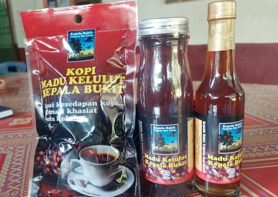 Madu Kelulut, Madu Terbaik Dari Lebah Tanpa Sengatan - Malaysiaaktif