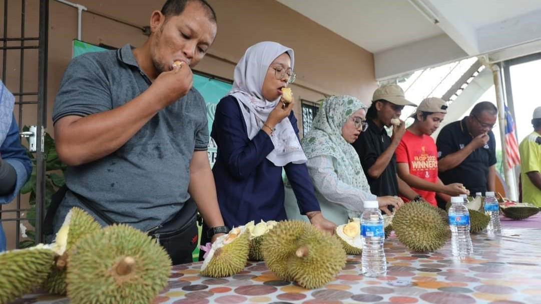 Pokok Berusia 35 Tahun Juara Durian Terbaik Sempena Hari Durian Daerah Temerloh - Malaysiaaktif