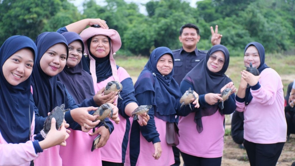 Program Pelepasan Tuntung Sungai Terbesar Di Kemaman - Malaysiaaktif