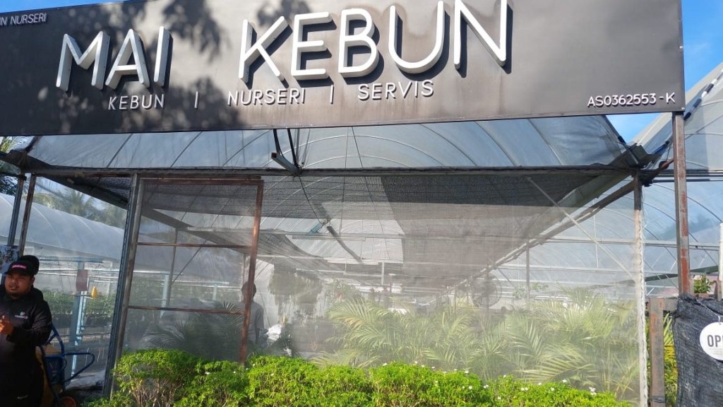 Anak Pokok RM1: Tarikan Pengunjung Ke Nurseri Mai Kebun Pendang ...
