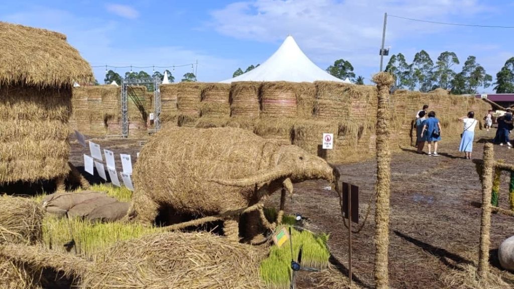 Koleksi Replika Jerami Gergasi Tarikan Karnival Jerami Negeri Kedah ...