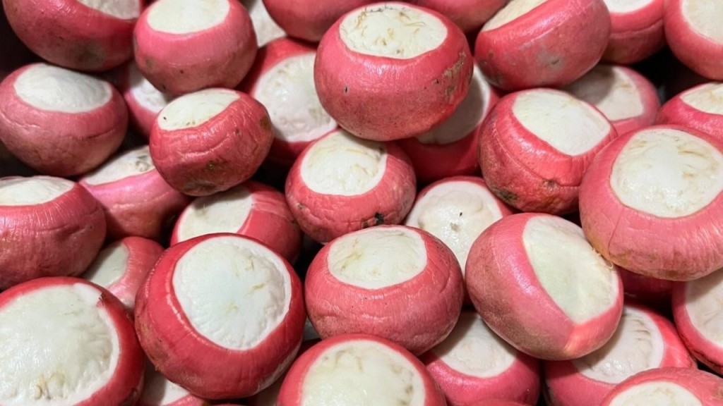 Buah Engkala- Buah Eksotik Sarawak - Malaysiaaktif