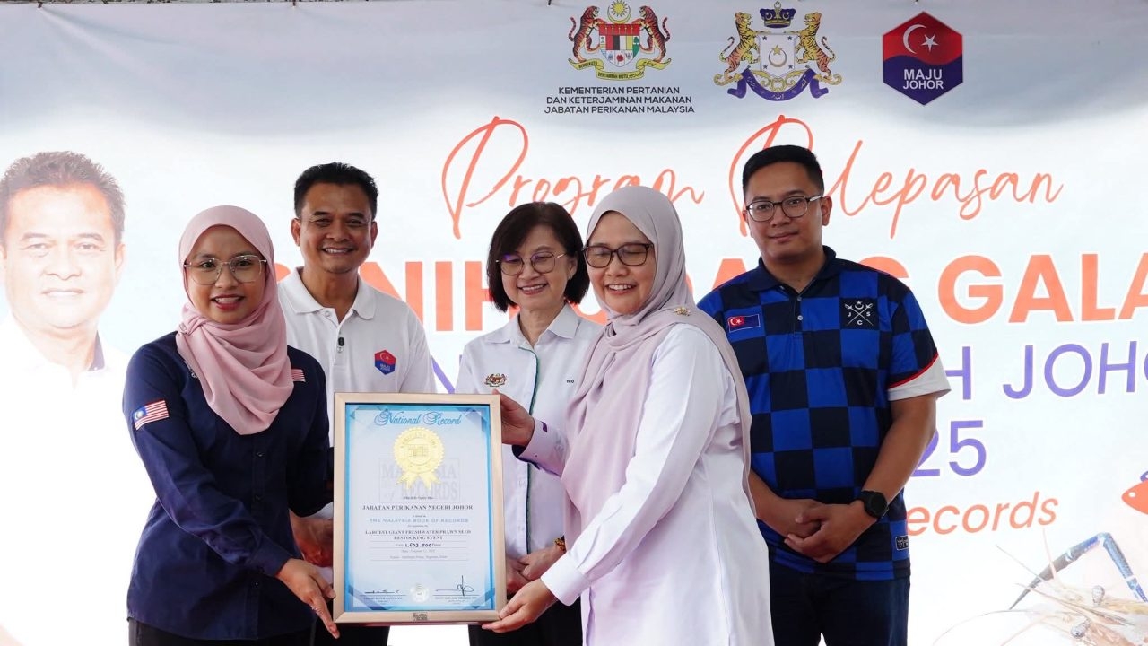 Pelepasan Benih Udang Galah Serentak Seluruh Johor Cipta Rekod MBOR - Malaysiaaktif