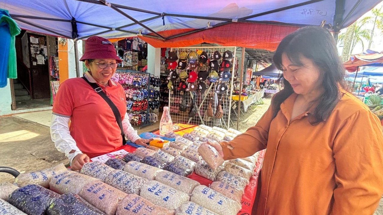 Rasa Asli Beras Kampung Kekal Pilihan Pelanggan - Malaysiaaktif