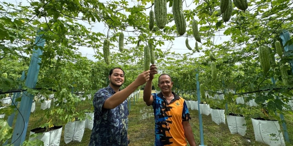 SejaTi MADANI Bantu Penduduk Kampung Tengah Relau Menjana Pendapatan ...
