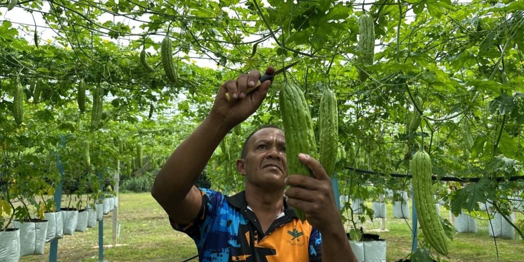 SejaTi MADANI Bantu Penduduk Kampung Tengah Relau Menjana Pendapatan ...
